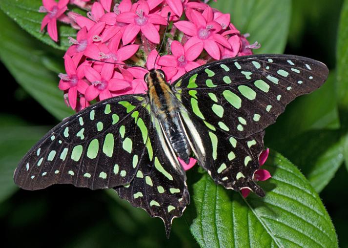 MITAC Events | MITAC